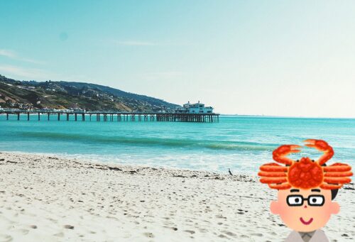 Kani3-log | 徒然なるままに、趣味/仕事/recommend